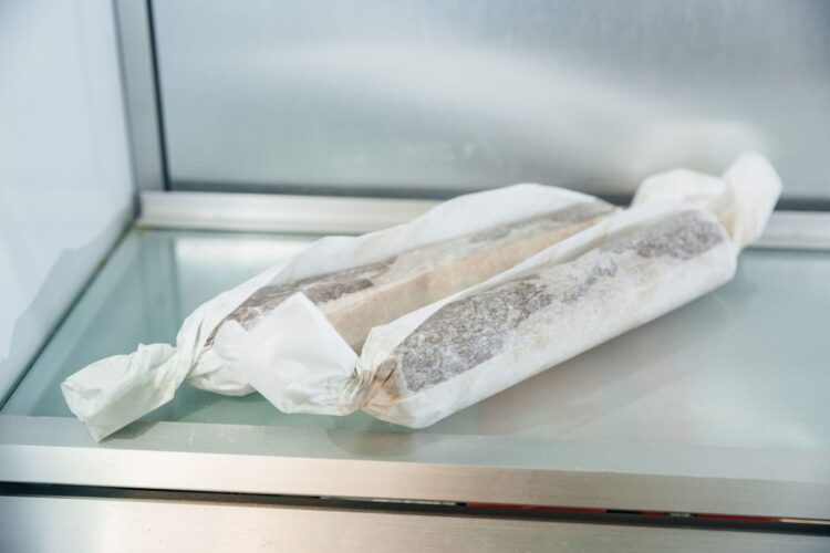 DARK CHOCOLATE CHERRY SLICE & BAKE COOKIES Recipe | Red Stick Spice